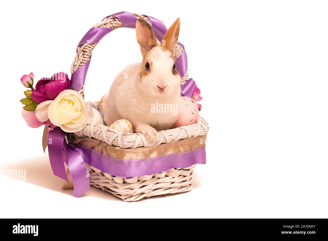Easter bunny in a basket isolated on white Stock Photo - Alamy