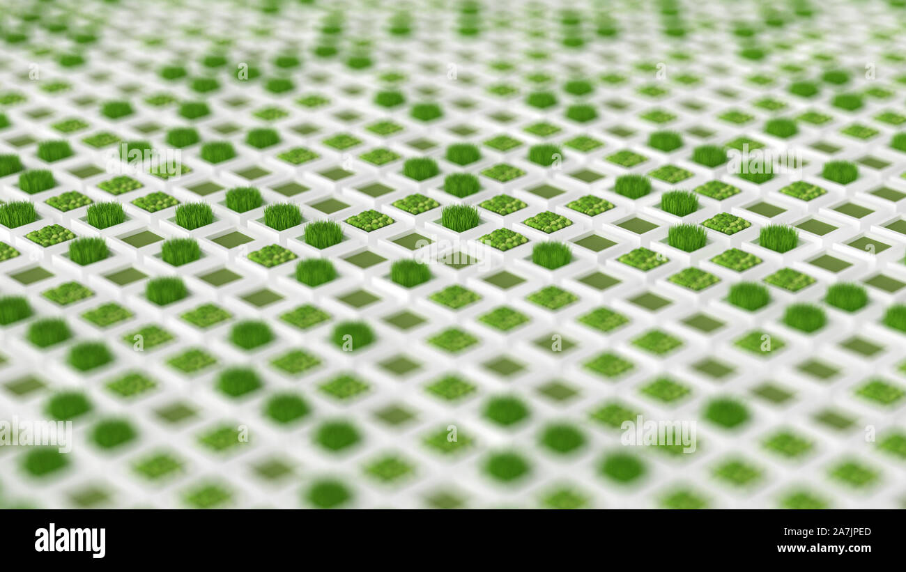 Plant green concept. 3d rendering, 3d illustration Stock Photo - Alamy