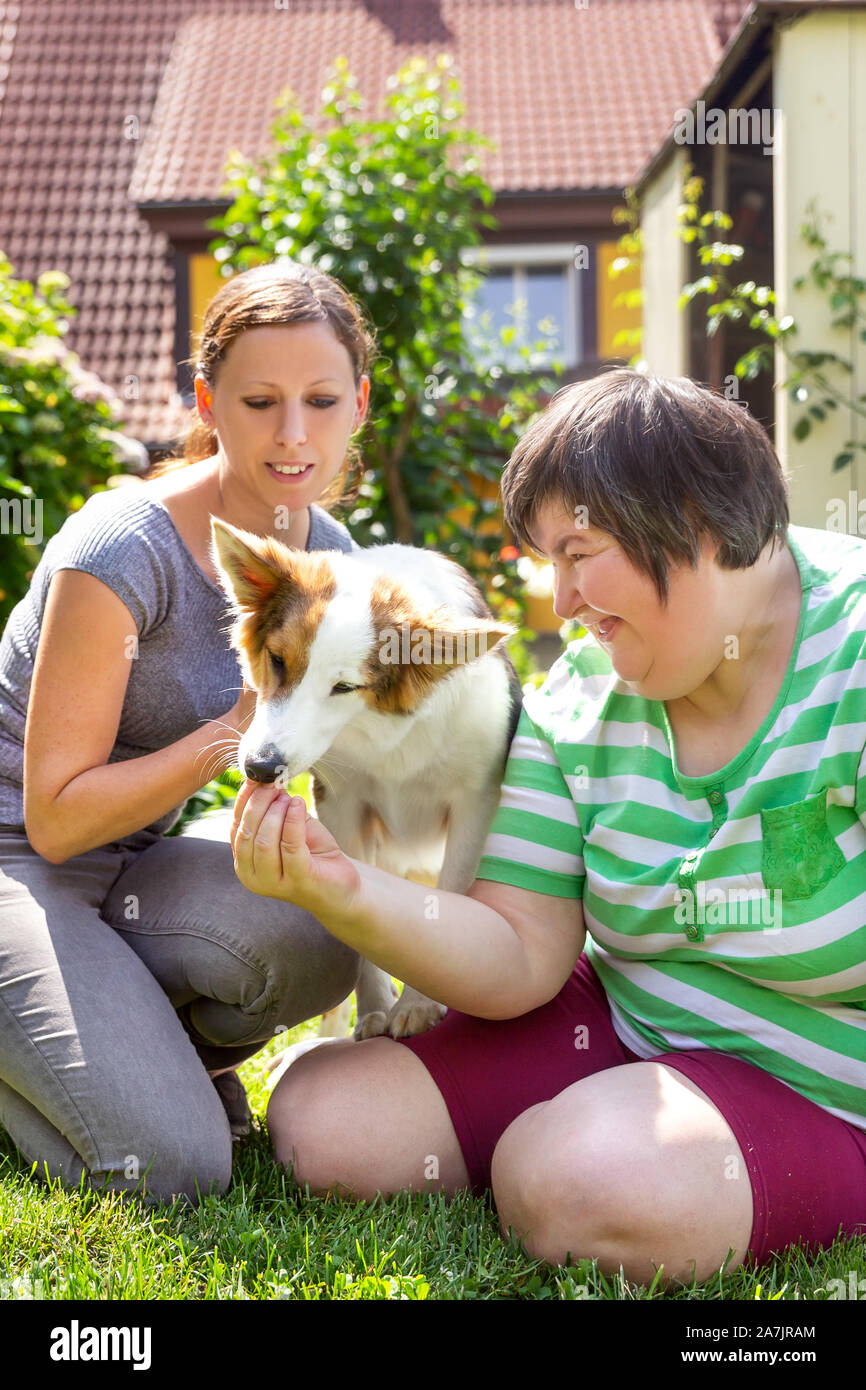 Mentally Challenged Animals