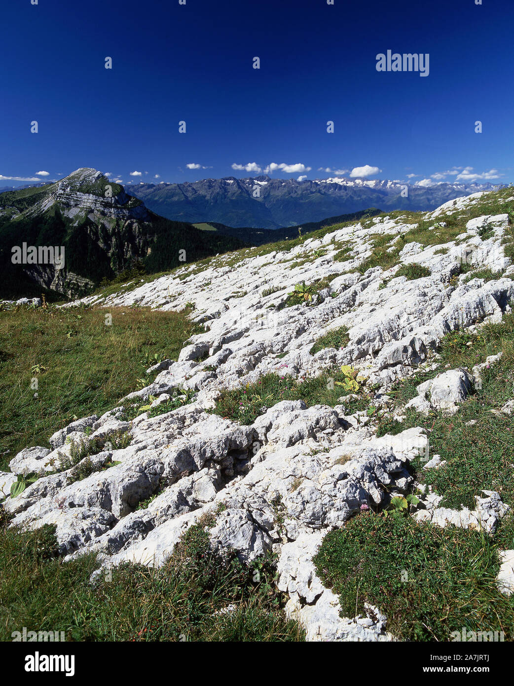 Chartreuse mountains range hi-res stock photography and images - Alamy