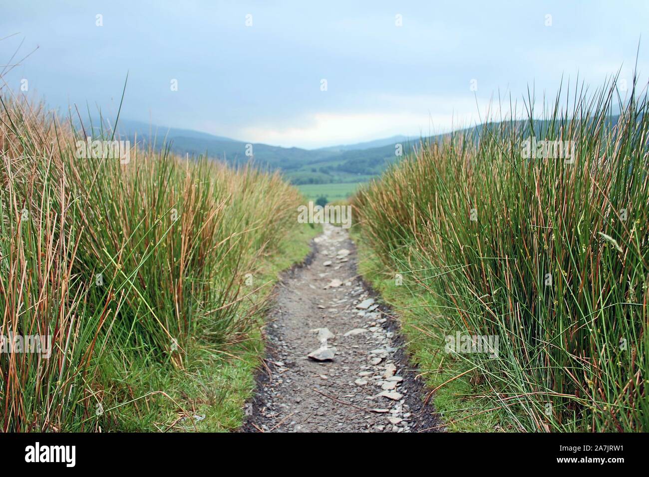 Snowdonia Rangers Path Stock Photo - Alamy
