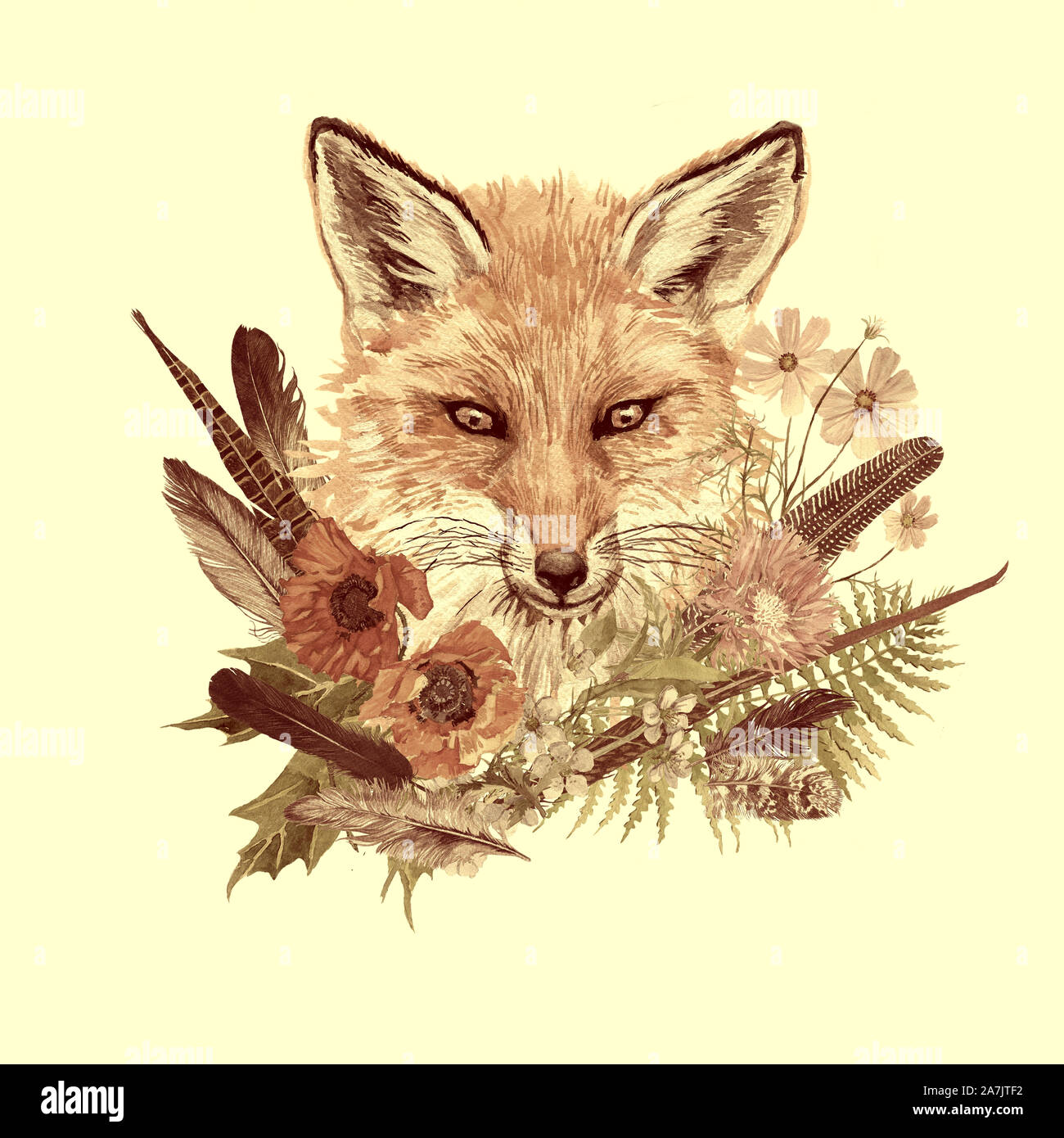 Vintage Fox Head Drawing