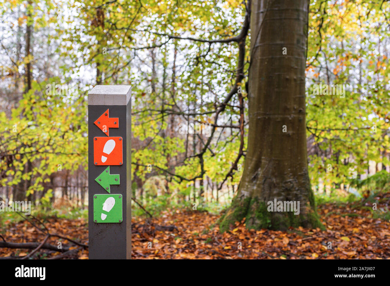 Footpath direction arrow hi-res stock photography and images - Alamy