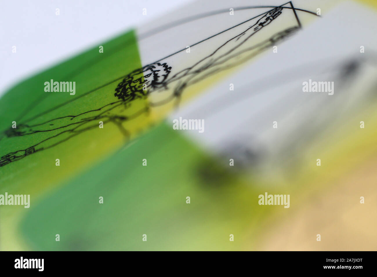 Kempten, Germany. 03rd Nov, 2019. Illustration - Two insurance cards of ...