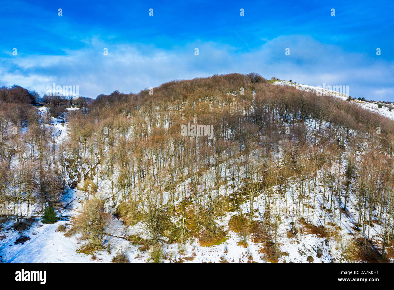 Aerial beech woodland europe hi-res stock photography and images - Alamy