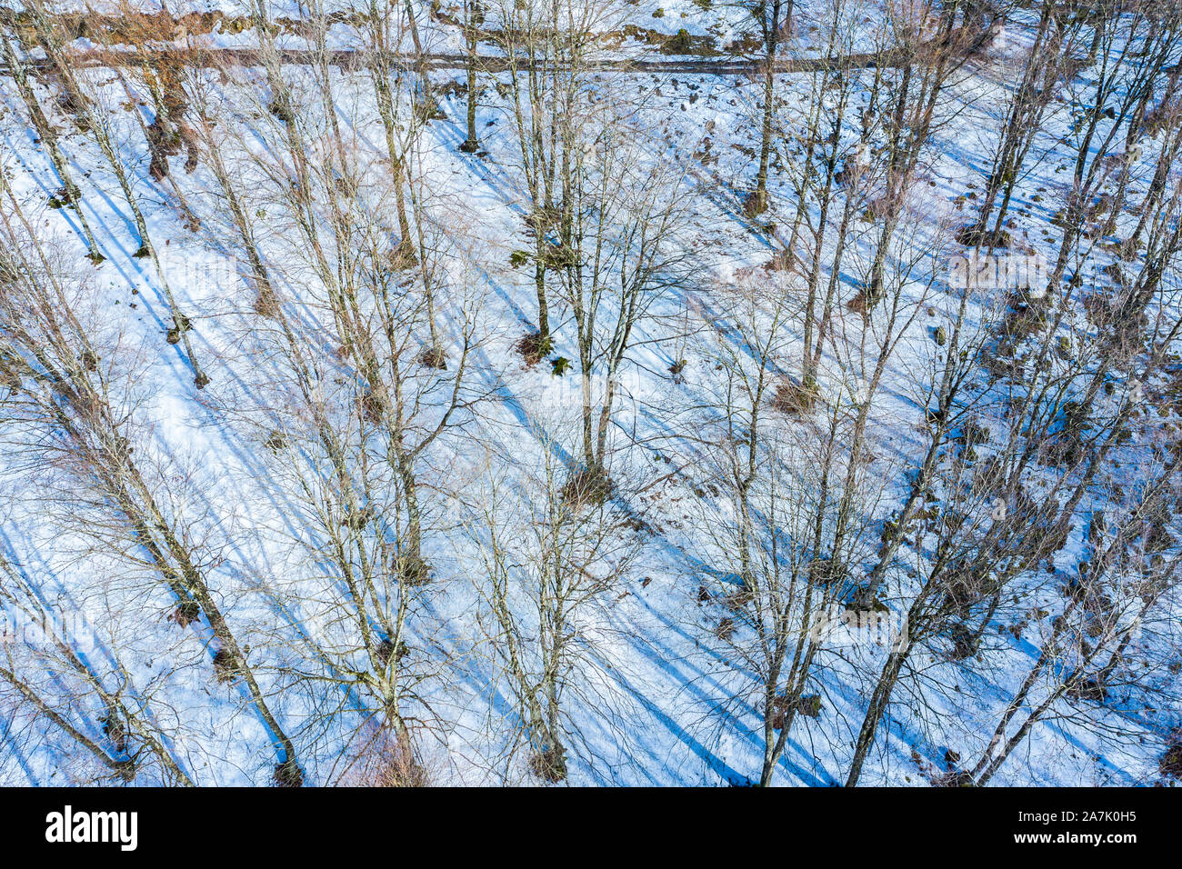 Aerial beech woodland europe hi-res stock photography and images - Alamy