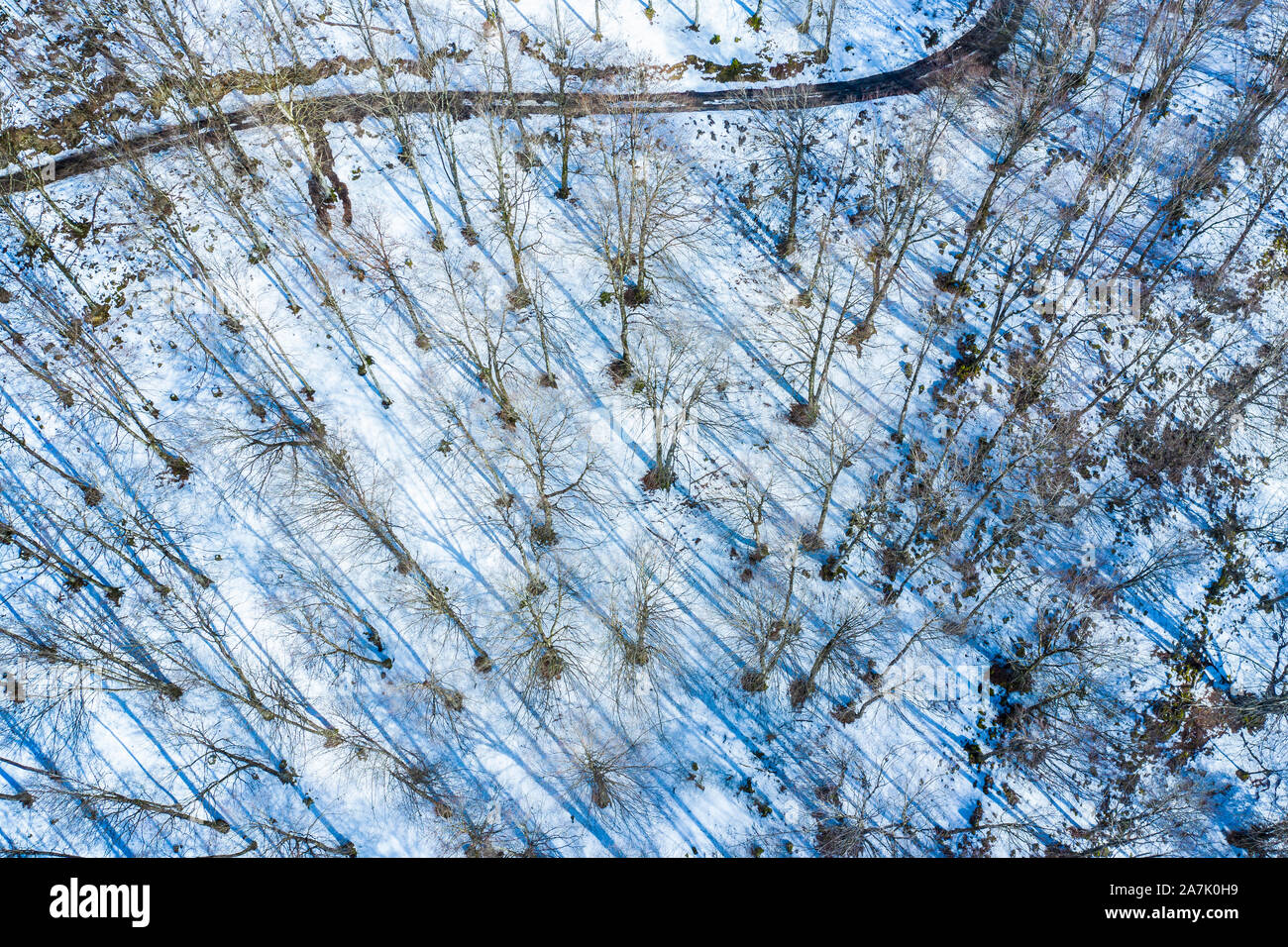 Aerial beech woodland europe hi-res stock photography and images - Alamy