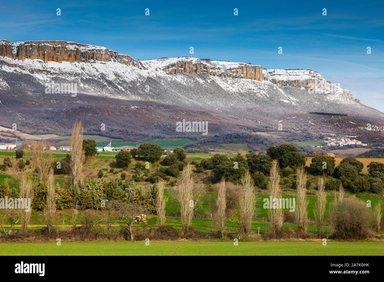 Range of trees hi-res stock photography and images - Alamy