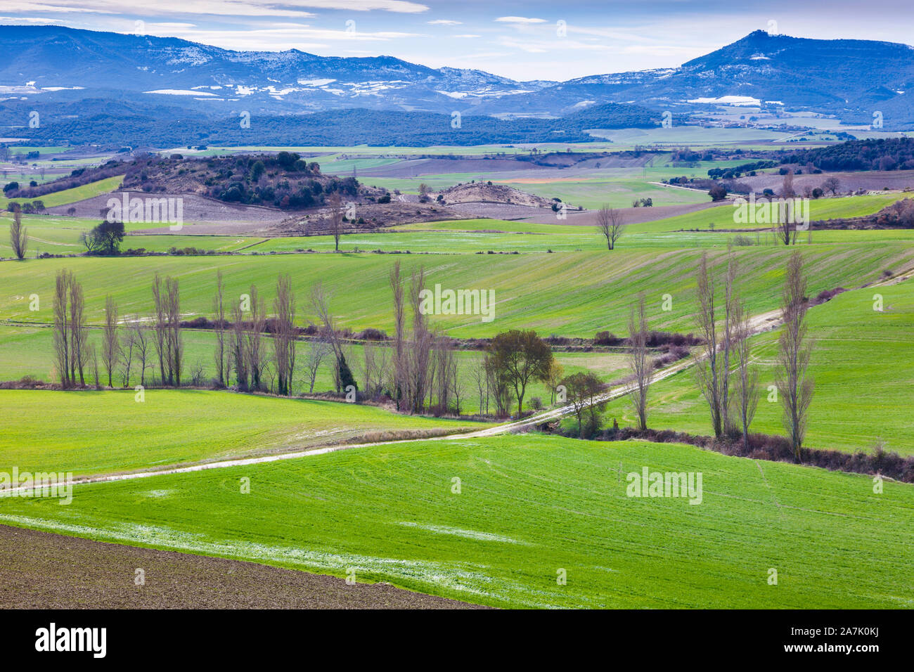 Pastures outdoor outside outdoors hi-res stock photography and images ...