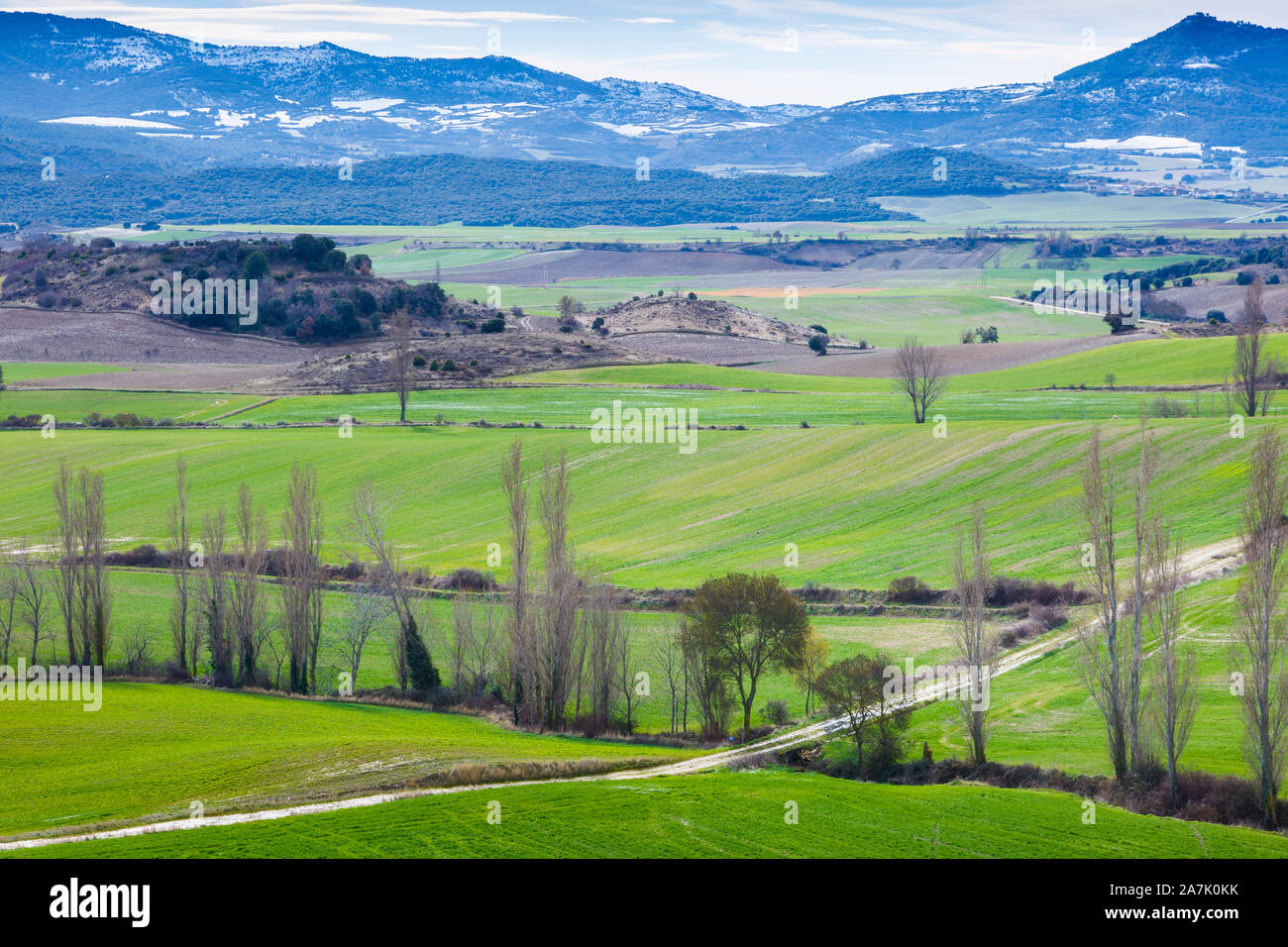 Pastures outdoor outside outdoors hi-res stock photography and images ...
