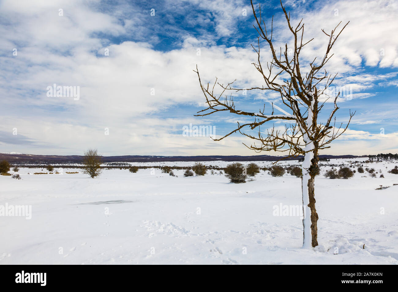 Prairie plateau scenery hi-res stock photography and images - Alamy
