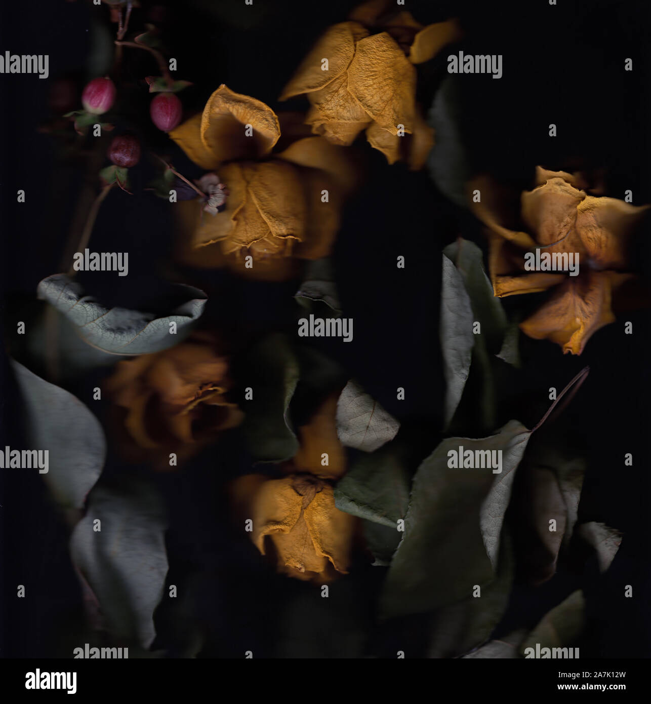 Dead bouquet hi-res stock photography and images - Alamy