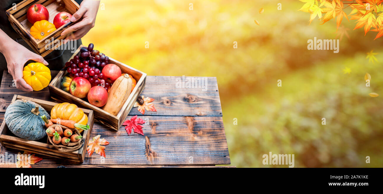 Farmer with fresh fruit on hands. Fall harvest cornucopia. Autumn ...