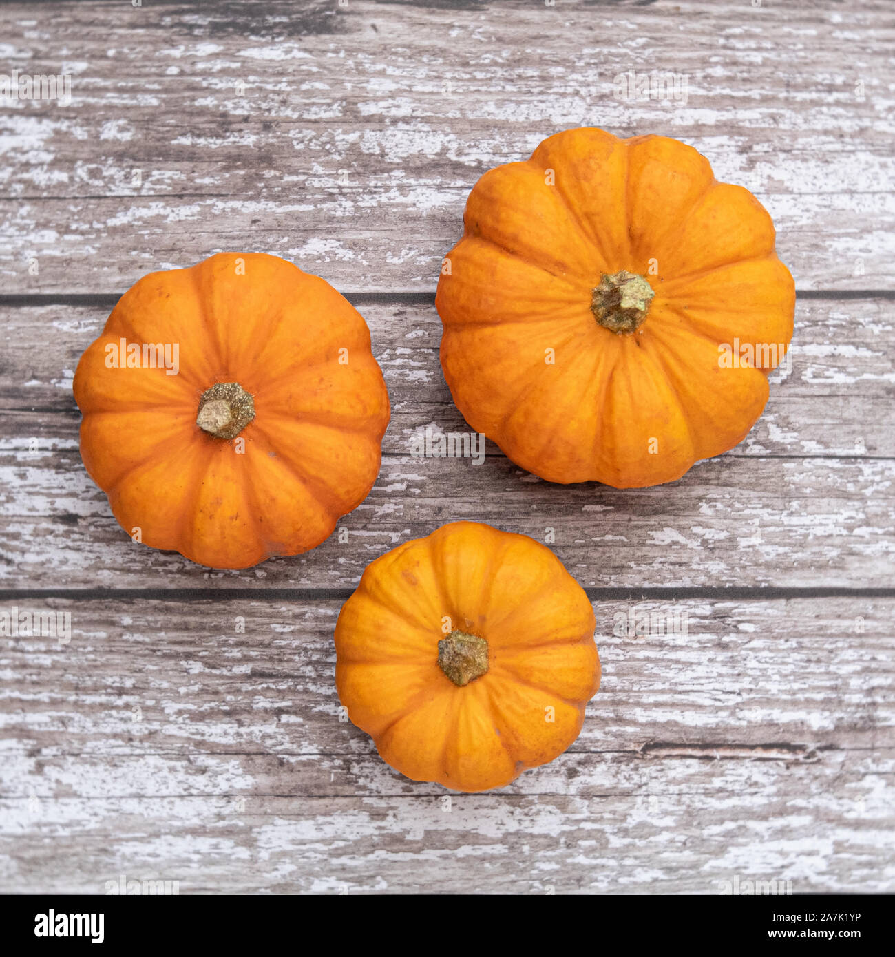 Top Down View of Small Pumpkins Stock Photo - Alamy