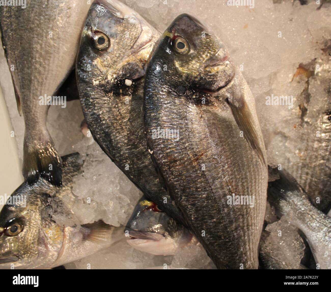 Fresh Italian sea fish with ice background image Stock Photo - Alamy