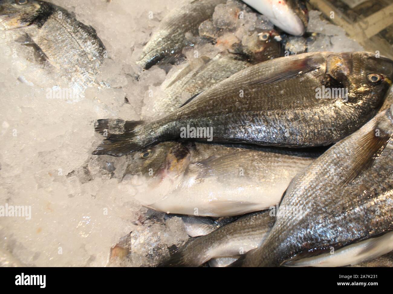 Fresh Italian sea fish with ice background image Stock Photo - Alamy