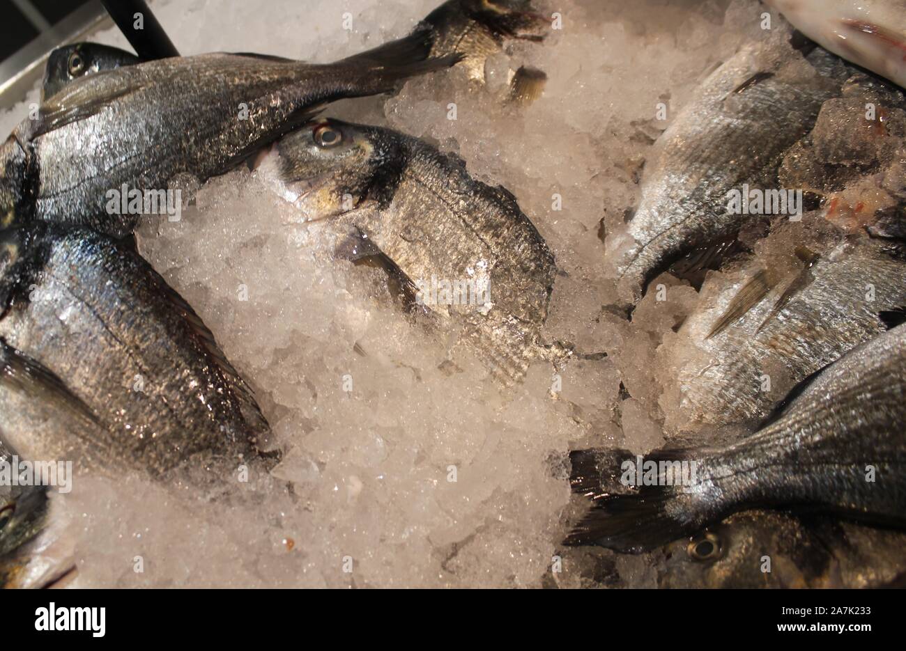 Fresh Italian sea fish with ice background image Stock Photo - Alamy