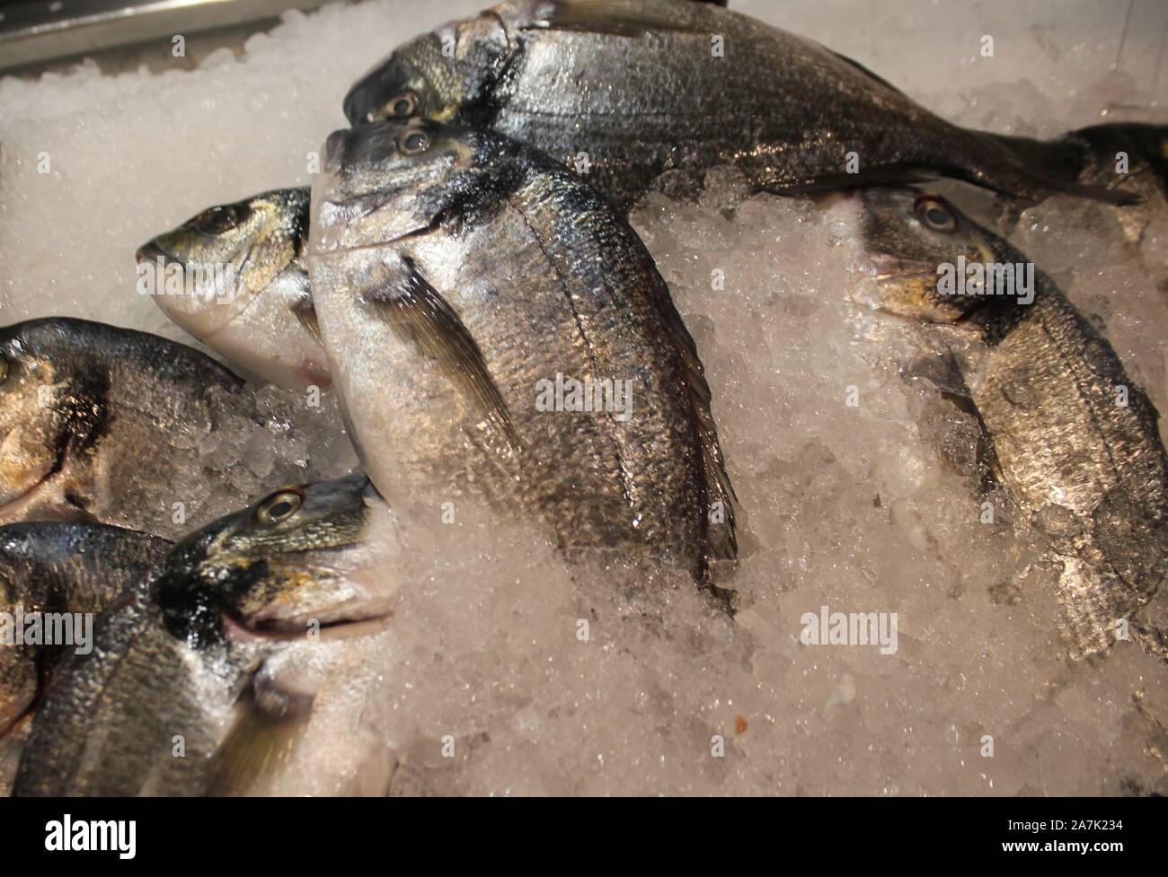 Fresh Italian sea fish with ice background image Stock Photo - Alamy