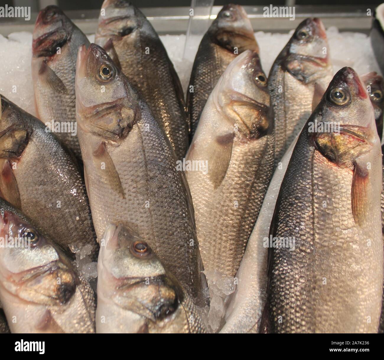 Fresh Italian sea fish with ice background image Stock Photo - Alamy