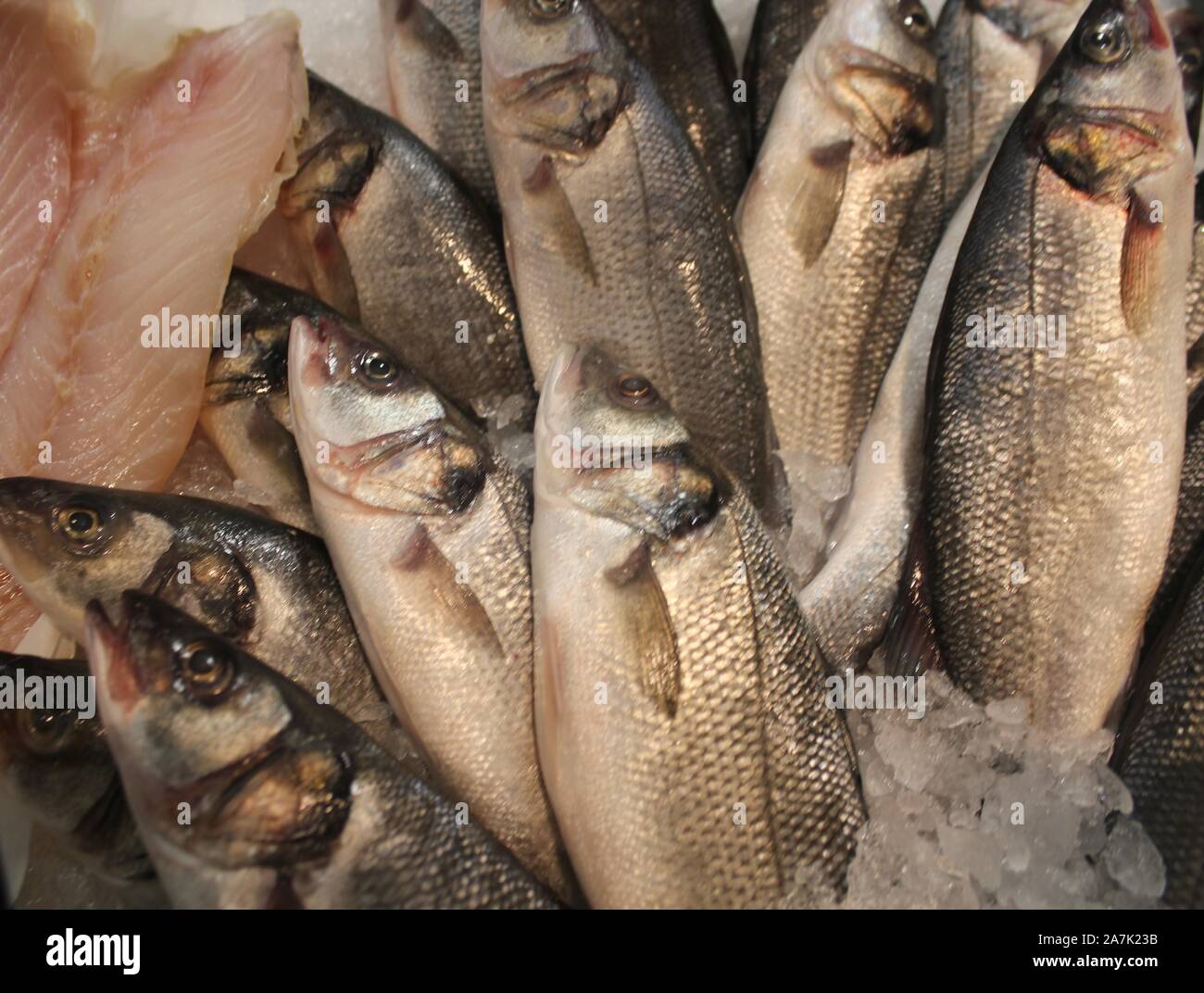 Fresh Italian sea fish with ice background image Stock Photo - Alamy