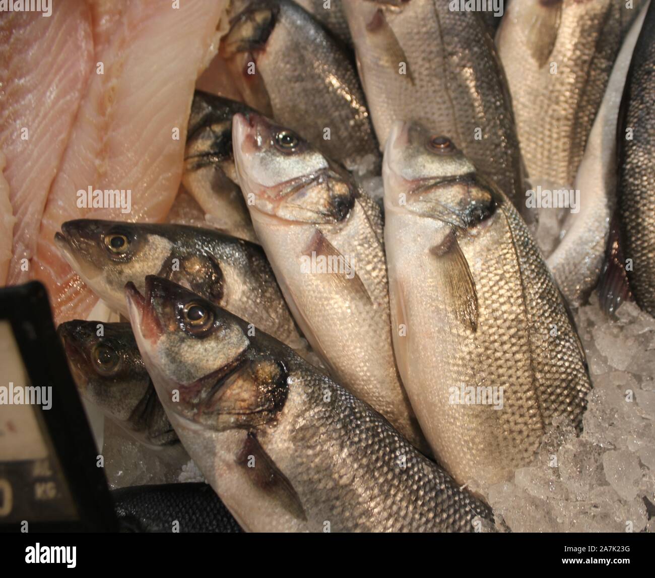 Fresh Italian sea fish with ice background image Stock Photo - Alamy