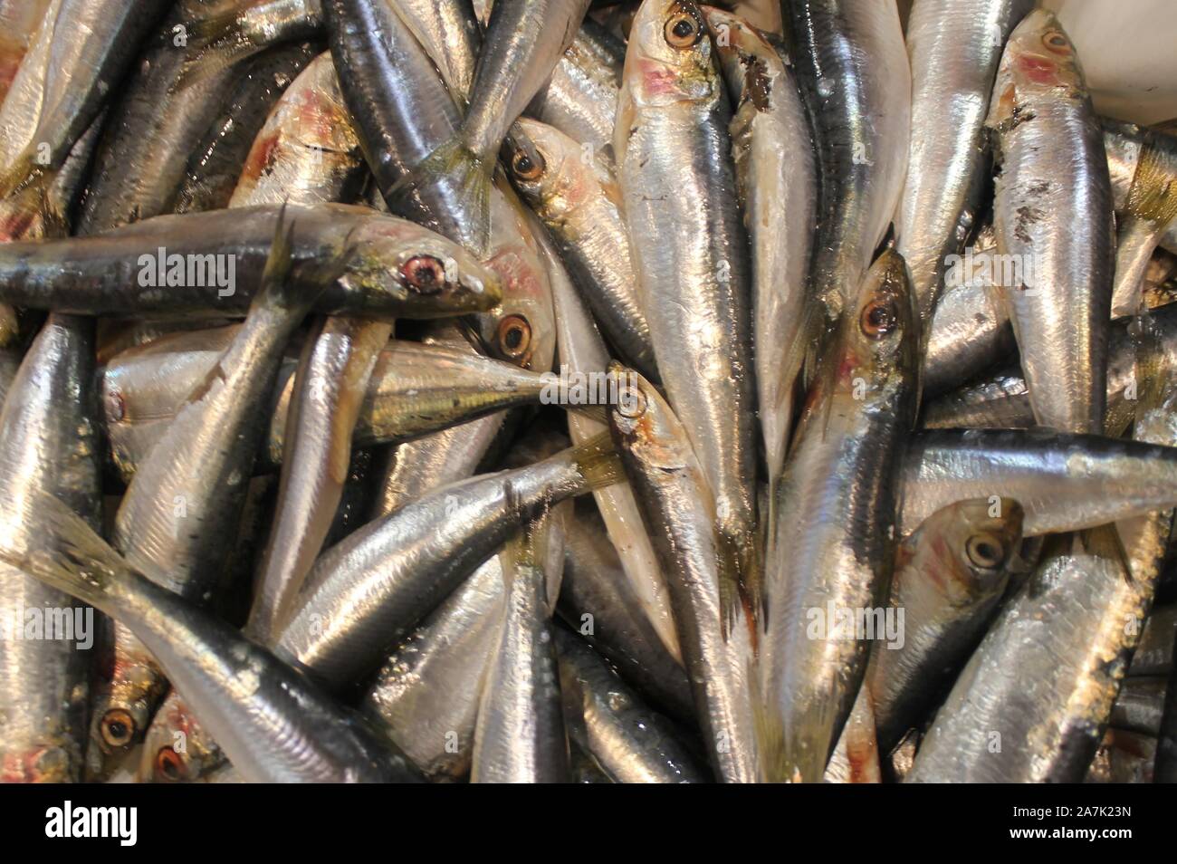 Fresh Italian sea fish with ice background image Stock Photo - Alamy