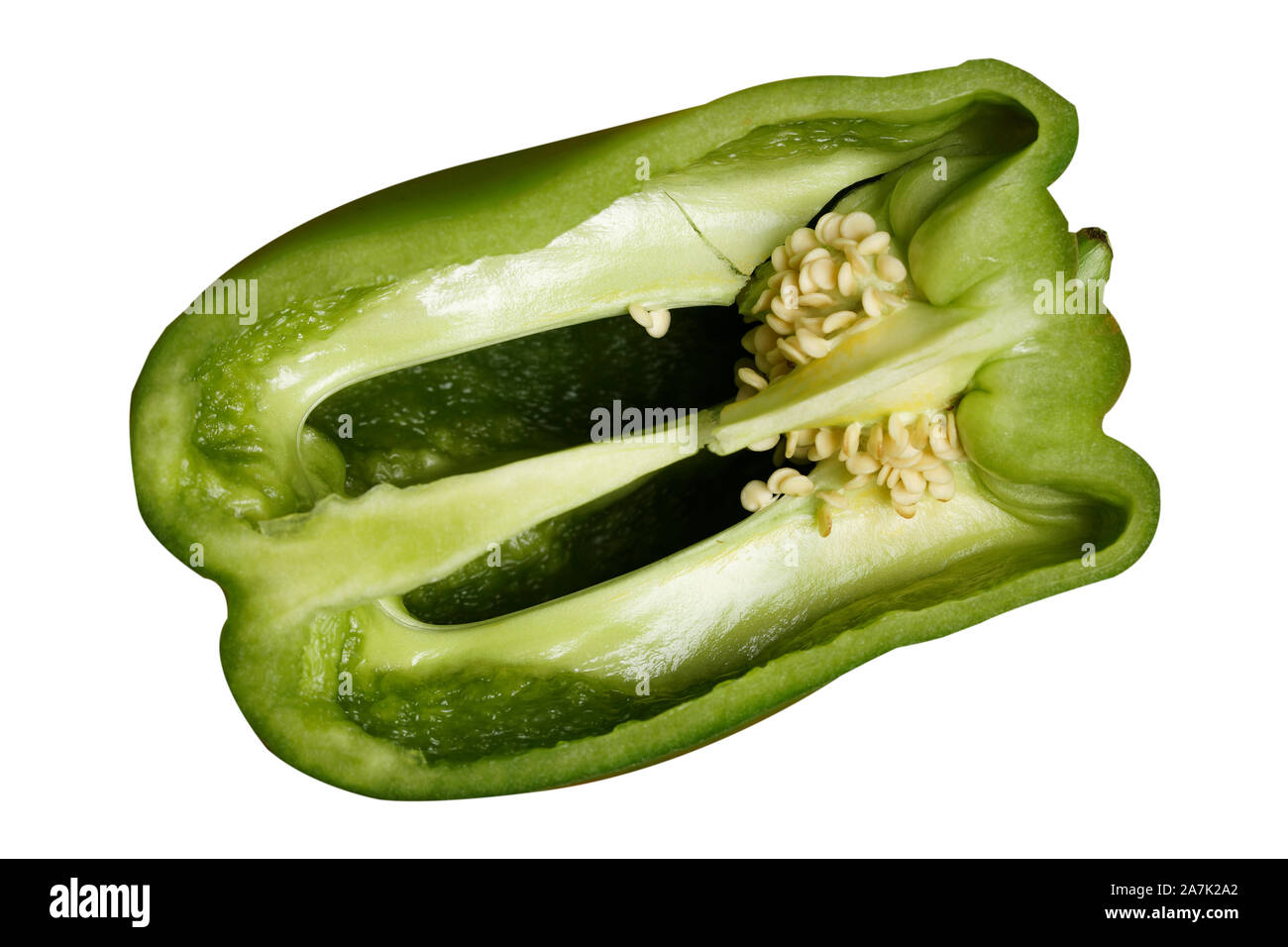 Inside structure cut Cut Out Stock Images & Pictures - Alamy