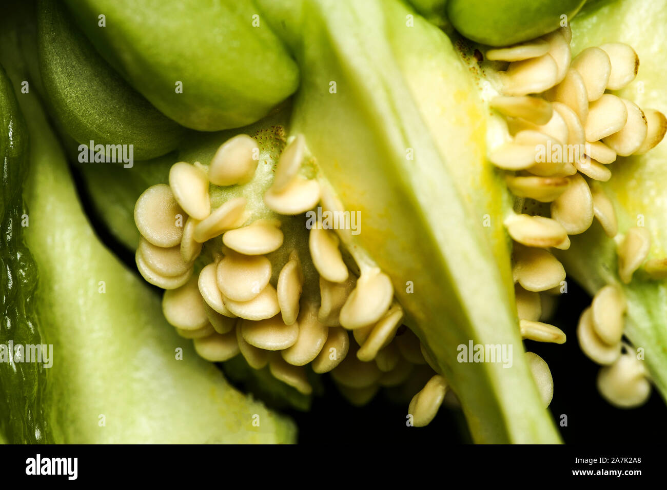 Green pepper cut open showing hi-res stock photography and images - Alamy