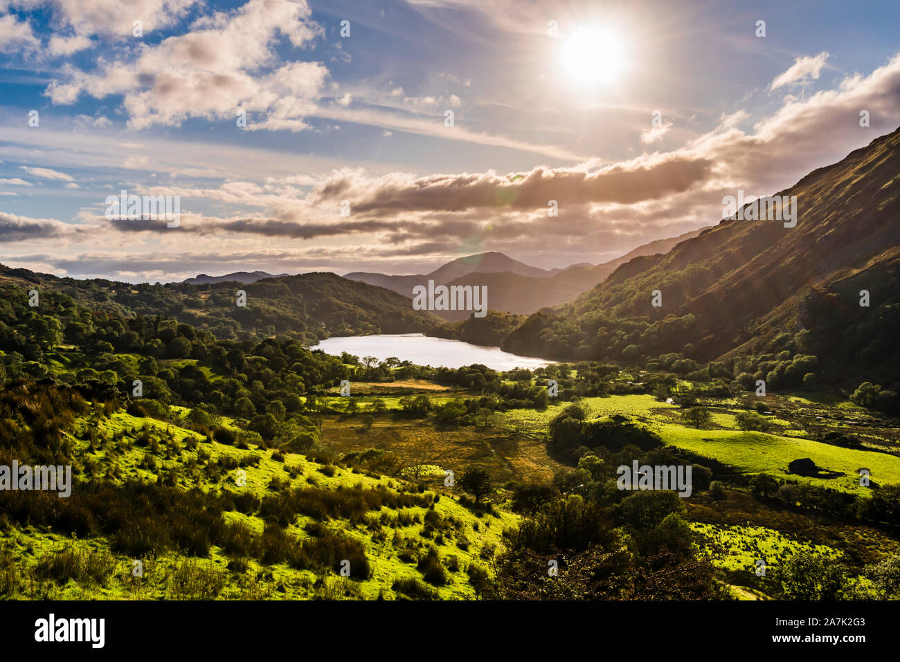 Welsh woodland setting hi-res stock photography and images - Alamy