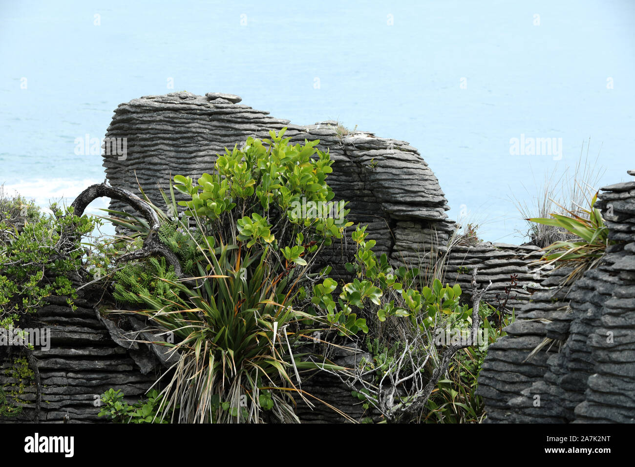 Pancake Rocks New Zealand Stock Photo - Alamy