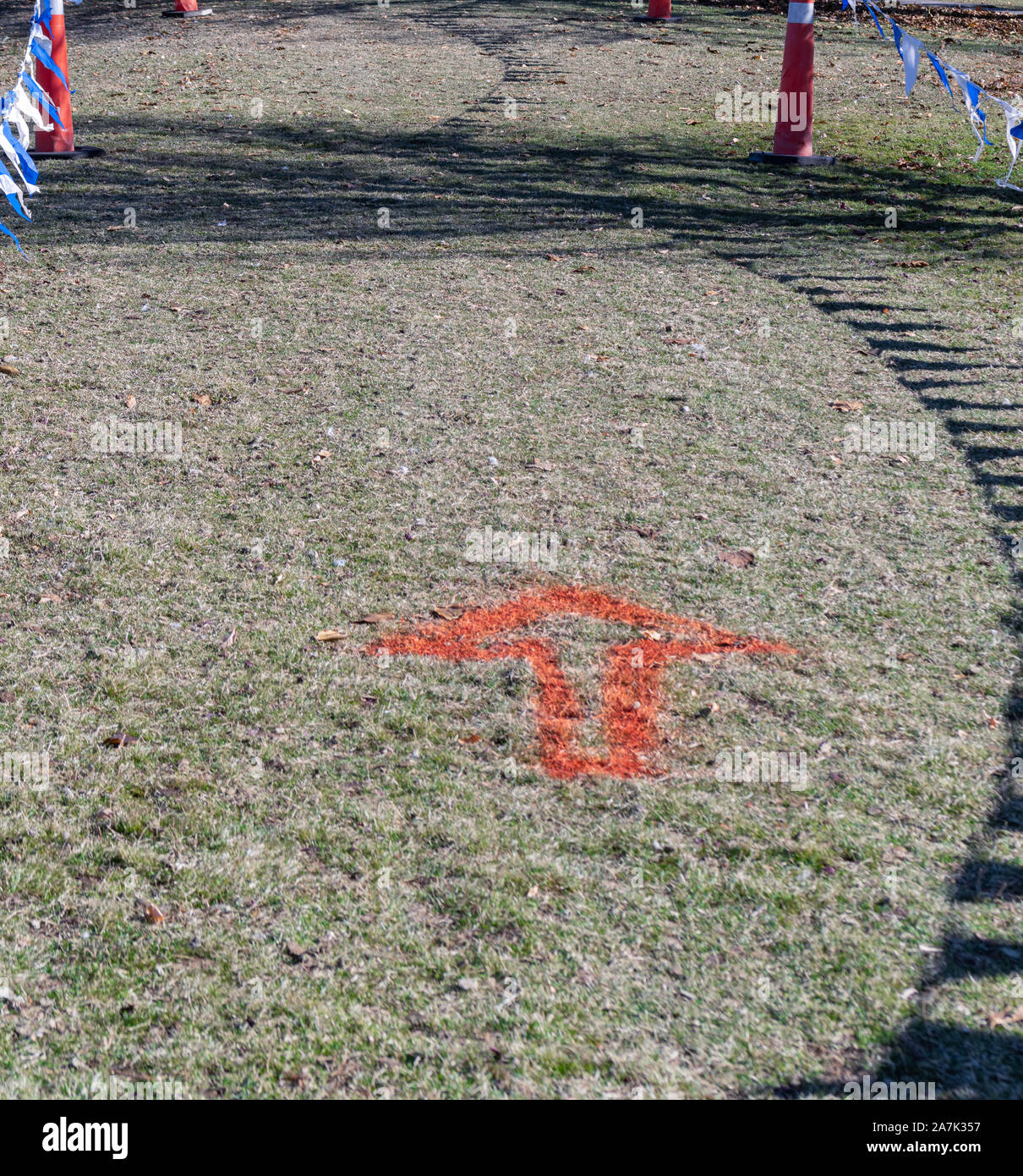 Arrow grass hi-res stock photography and images - Alamy