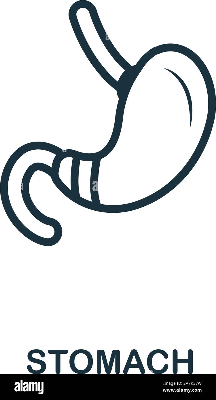 Stomach icon outline style. Thin line creative Stomach icon for logo ...