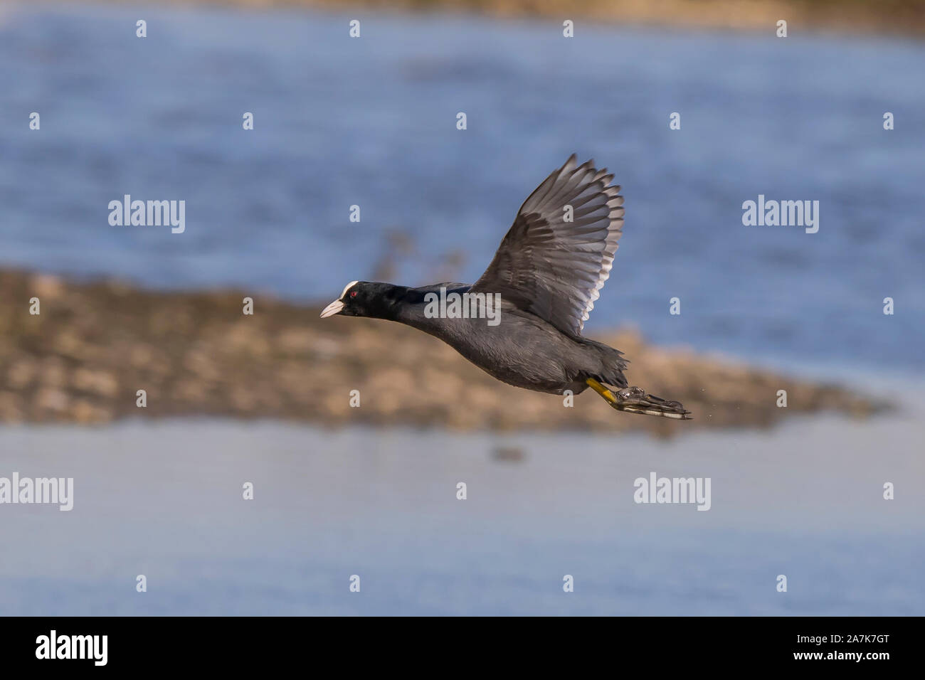 The flight detail hi-res stock photography and images - Alamy