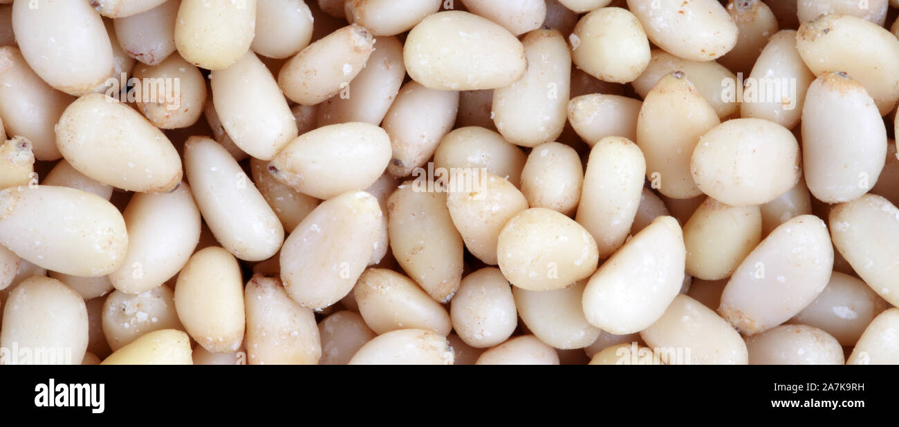 many cedar nut at day Stock Photo - Alamy