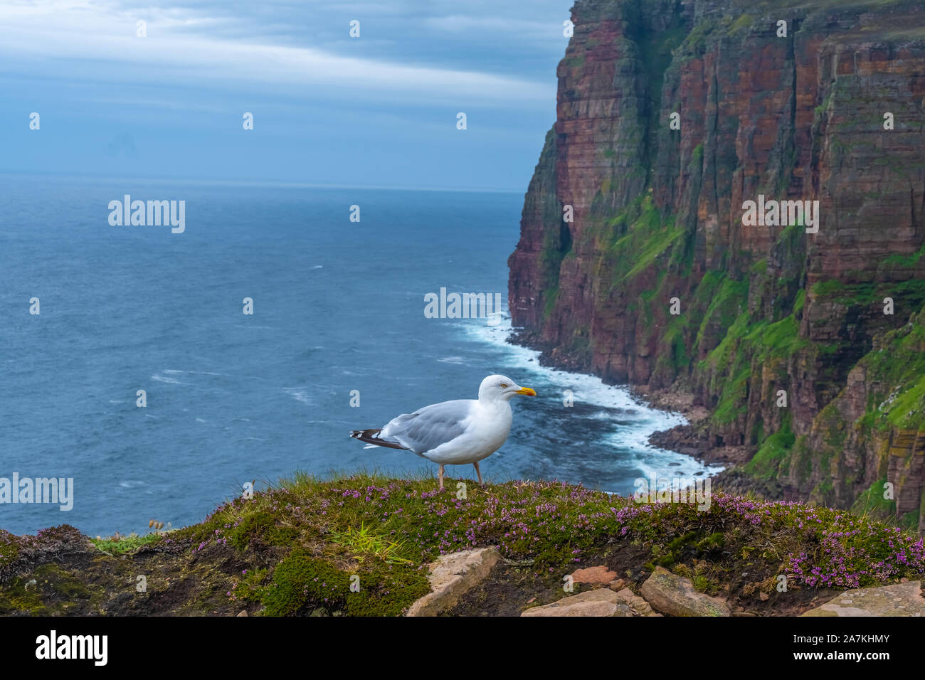 Rackwick Bay, a crofting township on the island of Hoy and considered ...