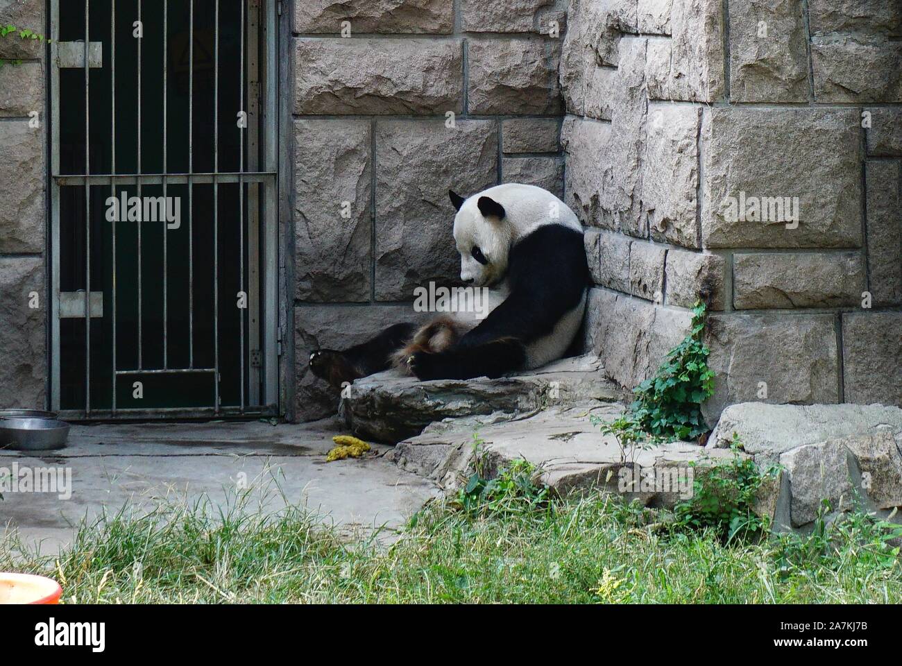 Chinese napping hi-res stock photography and images - Alamy