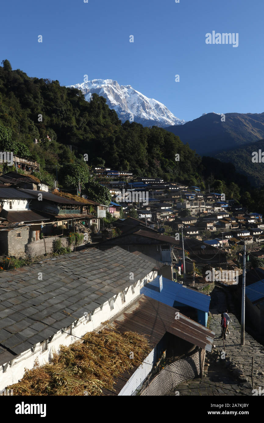 A general view of the Gurung village of Sikles, Himalayas, Nepal Stock ...