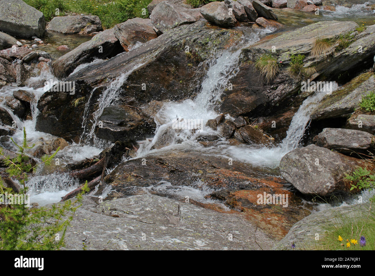 Rima rima hi-res stock photography and images - Alamy