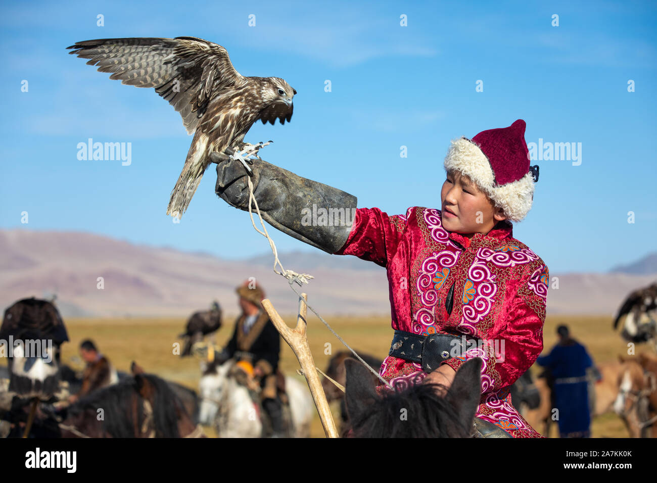 Young Mongolian boy in traditional Mongolian dress holding his falcon ...