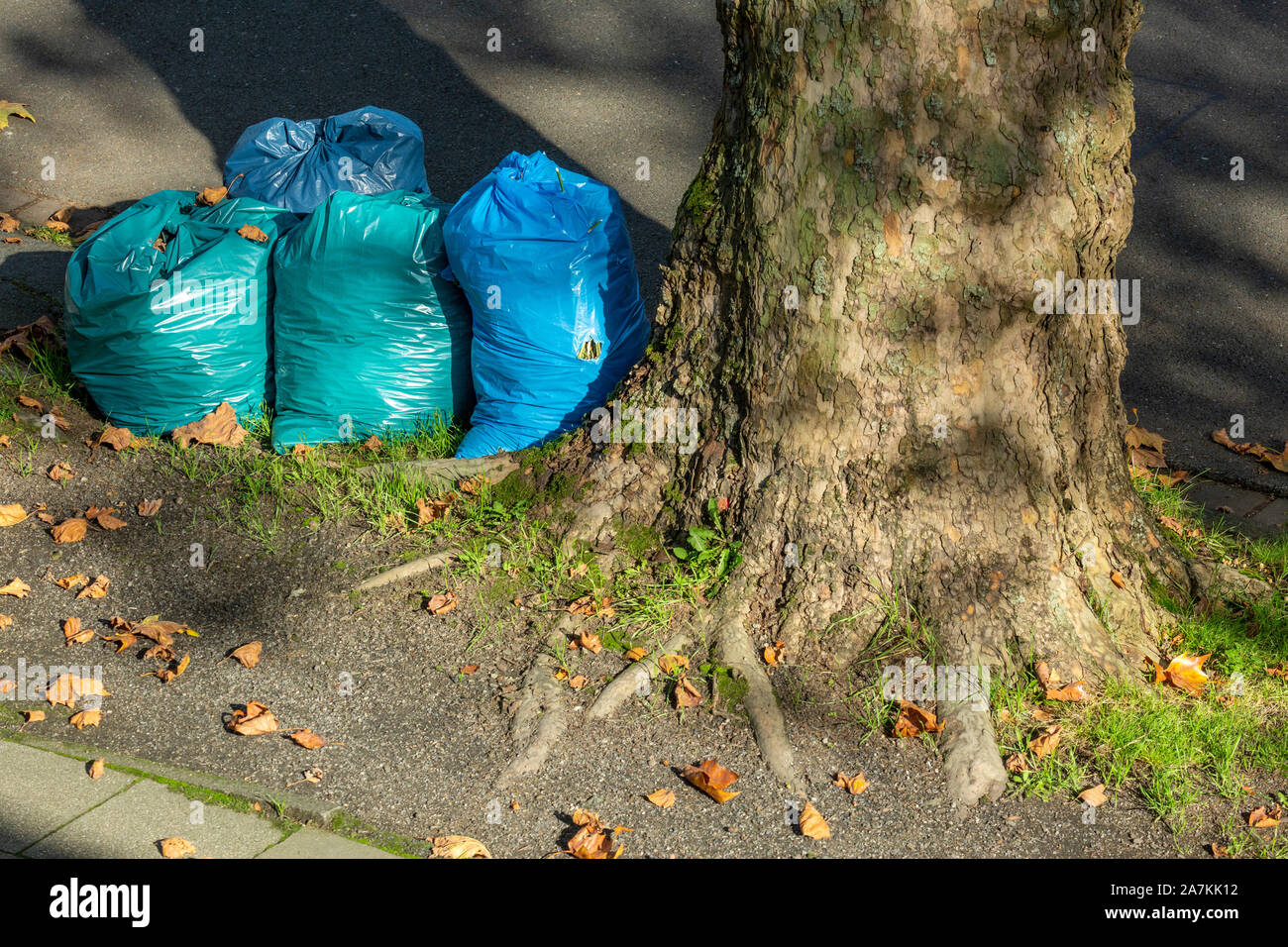 Bags of leaves for disposal hi-res stock photography and images - Alamy