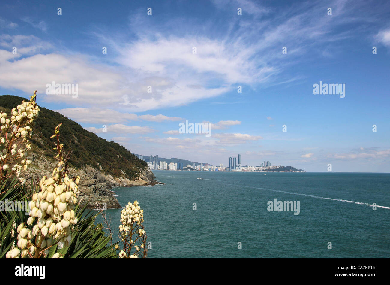 A steep rocky cliff on Oryukdo Sky Walk, Busan, South Korea Stock Photo ...