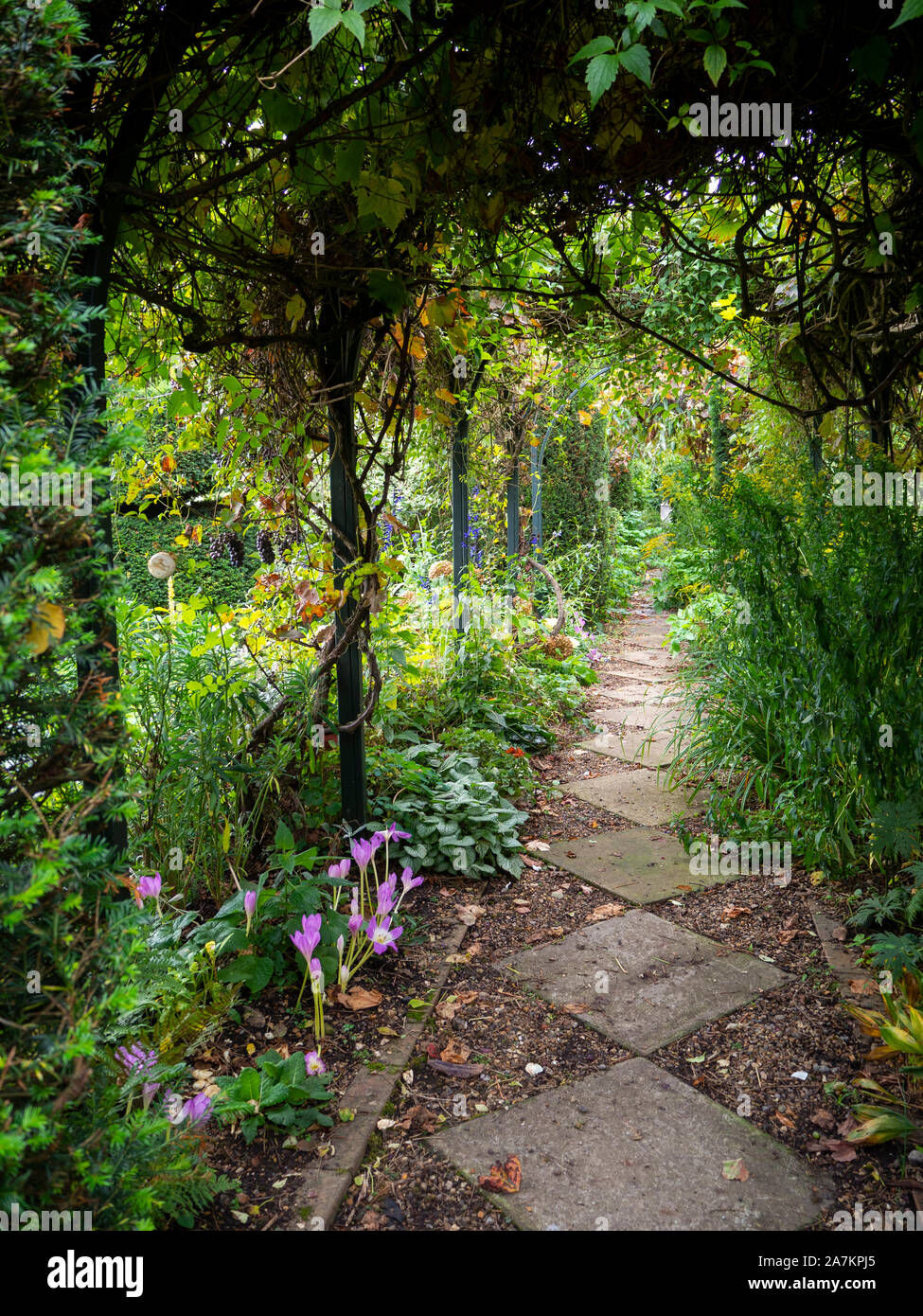 Shady arches hi-res stock photography and images - Alamy