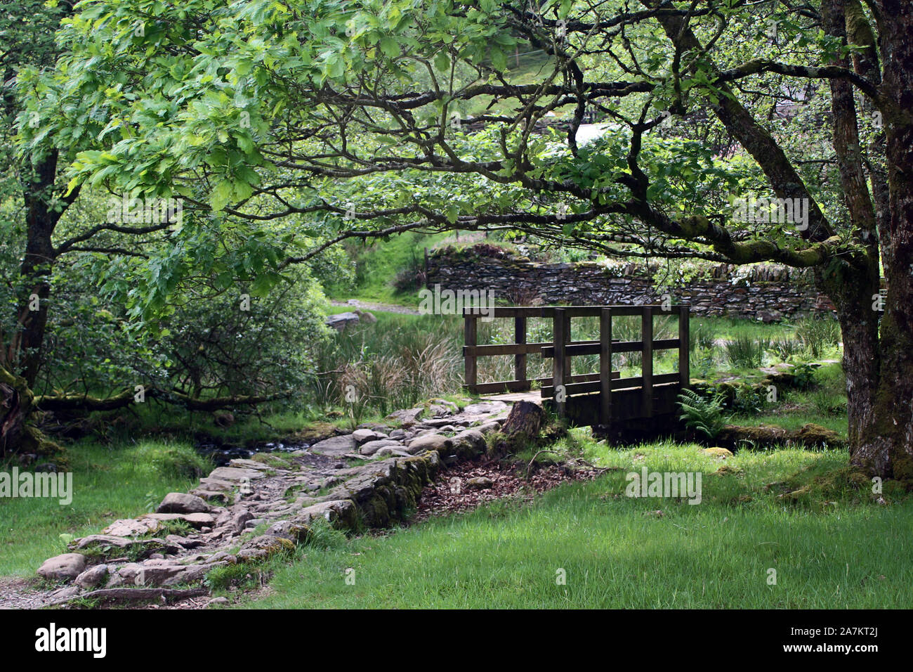 Footbridge walk snowdonia mountains hi-res stock photography and images ...