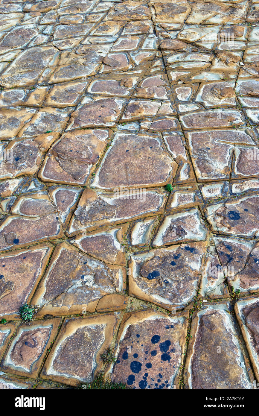 Sandstone bedrock, patterns of cracks and fissures, Yesnaby, Mainland ...