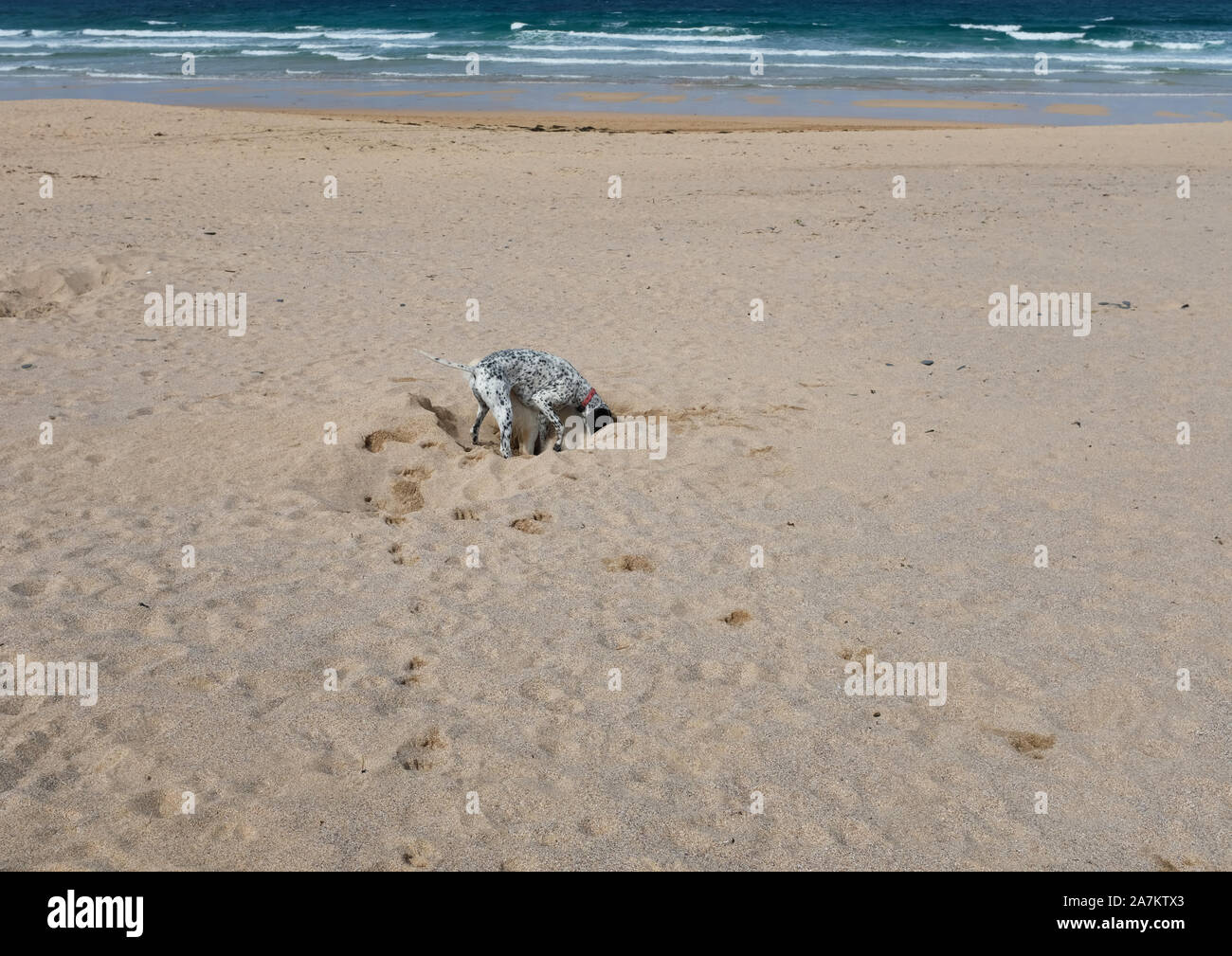 Head in sand Stock Photo - Alamy