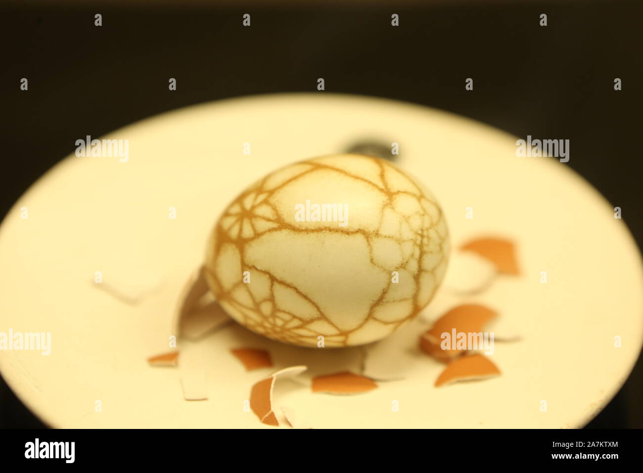 First egg hi-res stock photography and images - Alamy
