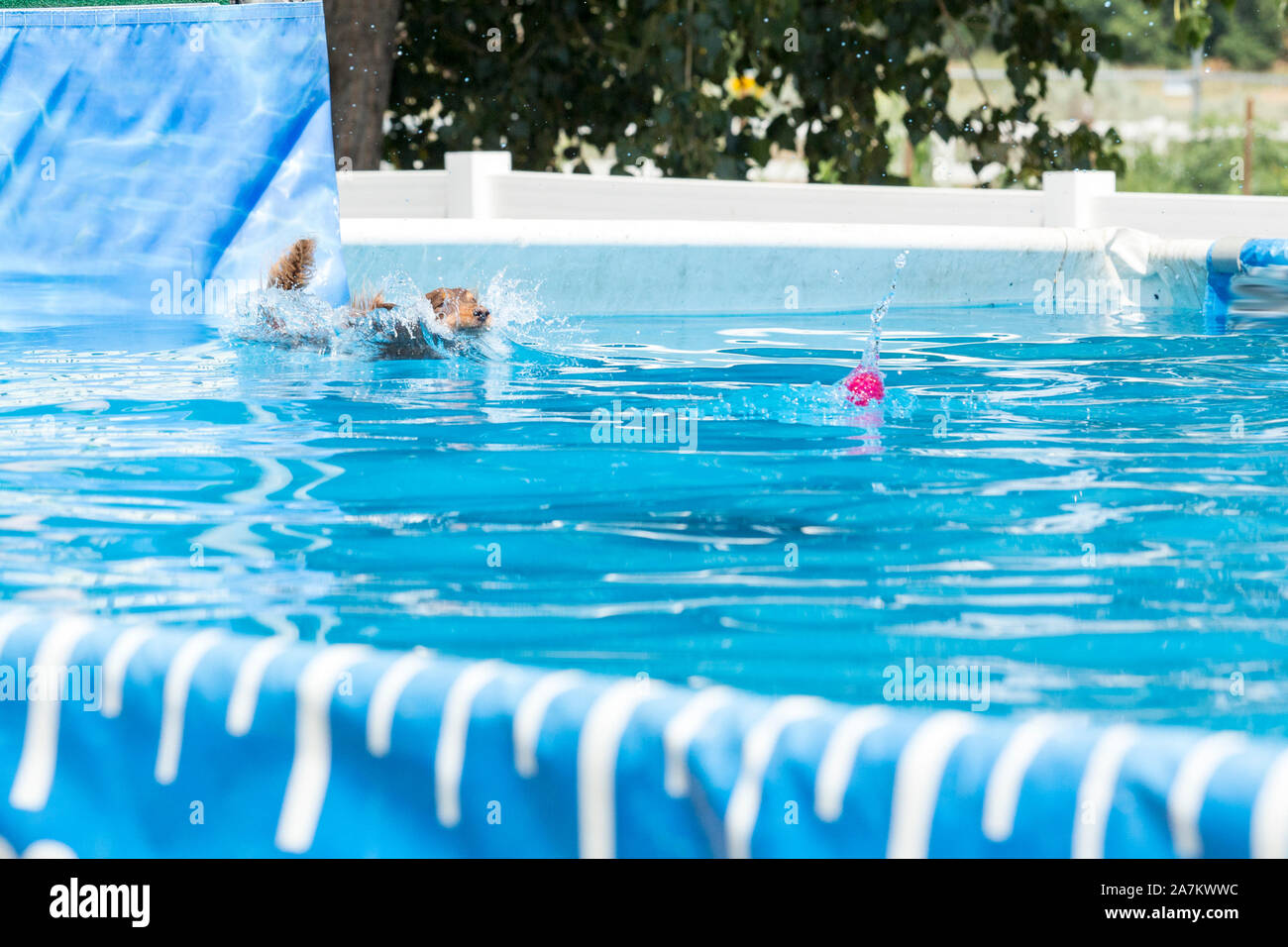 Making a big splash hi-res stock photography and images - Alamy