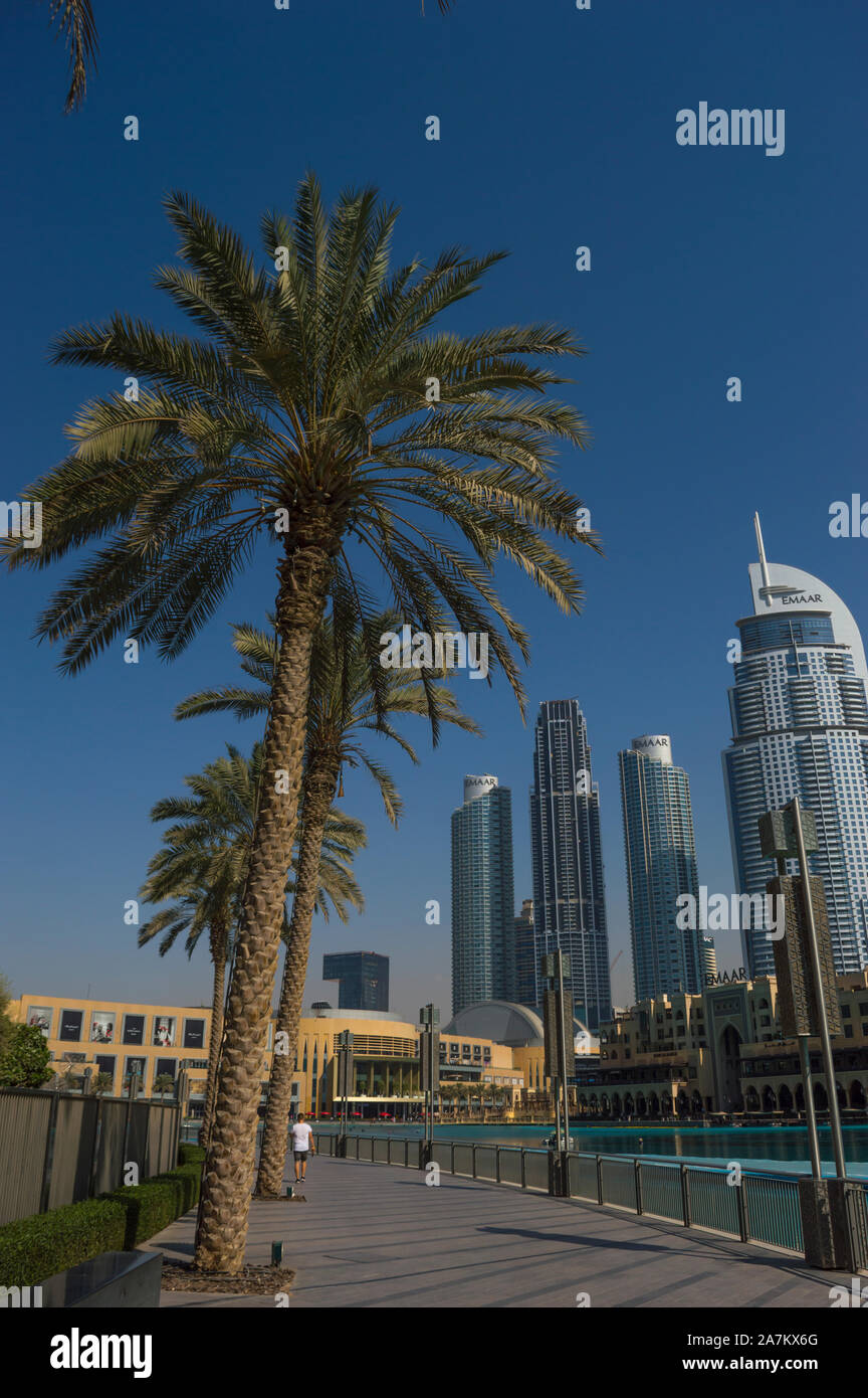 DUBAI, UNITED ARAB EMIRATES - OCTOBER 17, 2019: palm trees in front of ...