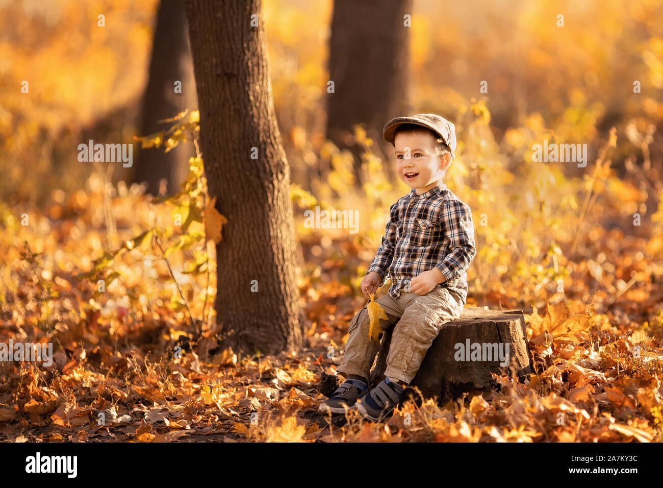 autumn portrait of happy little boy Stock Photo - Alamy