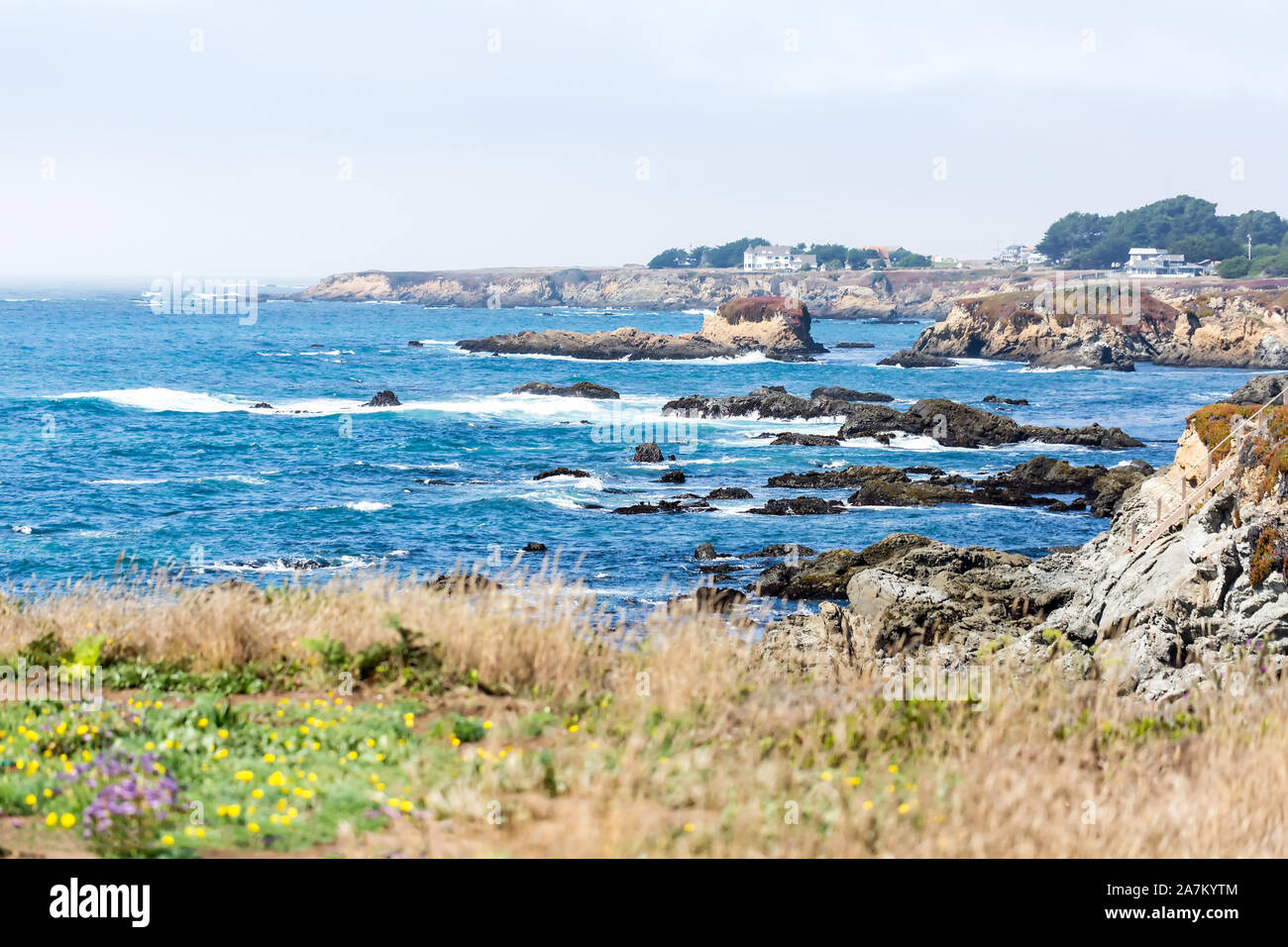 Coastal scene with breakers hitting rocks and flowers in the foreground ...